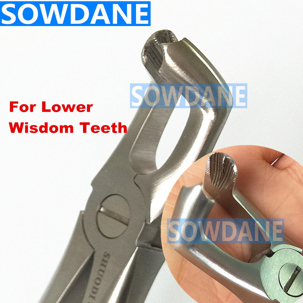 Dental Adult Tooth Extraction Forceps For Lower Wisdom Molar | Shopee ...