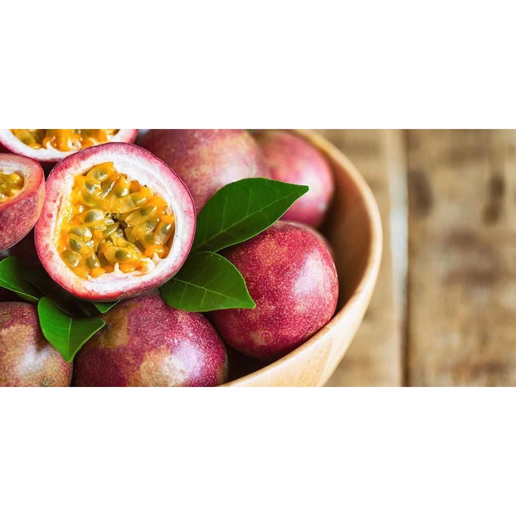 Anak Pokok Markisa/Passion Fruit Merah | Shopee Malaysia