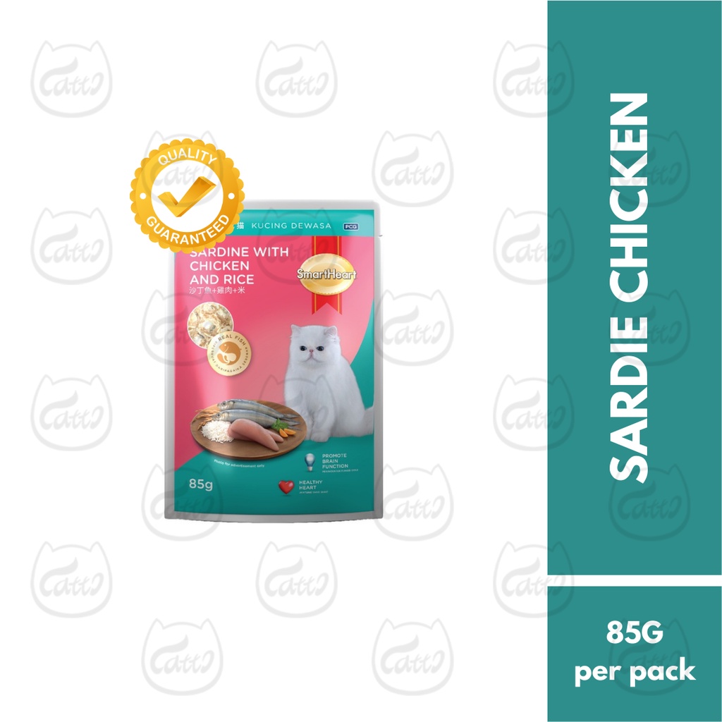 CATTO Smart Heart Pouch Cat Pouch Adult Kitten Makanan Kucing ...