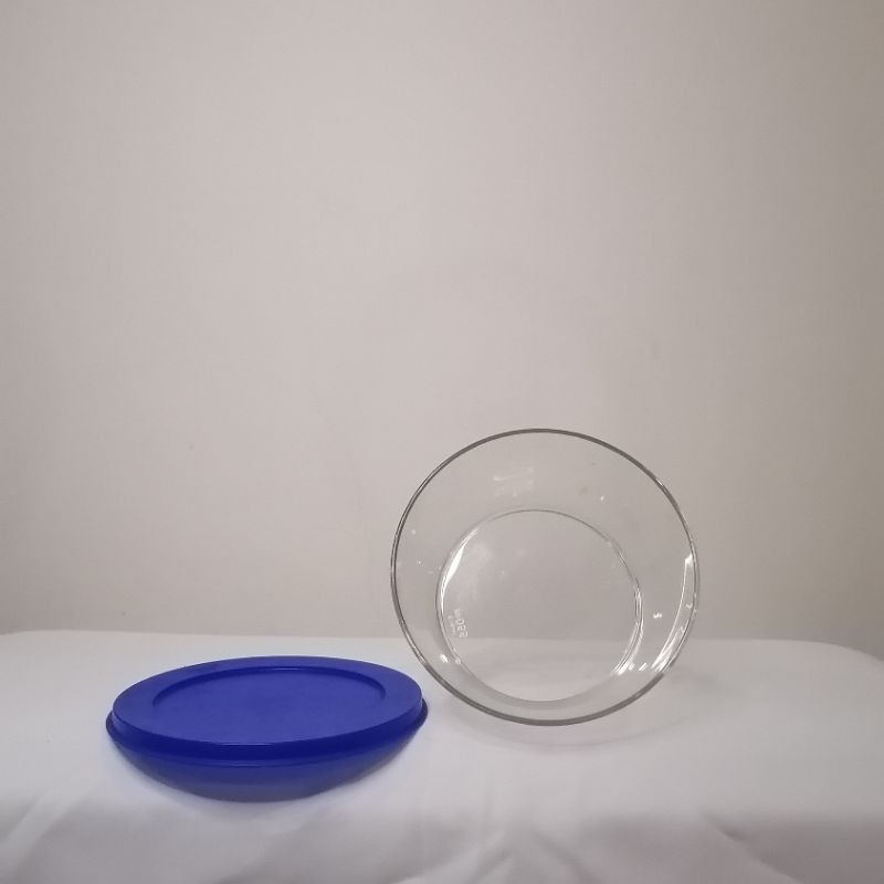 (BRAND NEW) Tupperware Transparent Food Storage Container 990ml ...