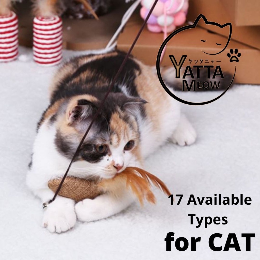 TEASINGSTICK Cat Stick Cat Toy Cat Teaser Cat Stick Mainan Kucing 猫玩具 ...