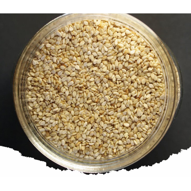 Seeds : White Sesame / Bijan Putih / 白芝麻 种子 (50 seeds) biji benih ...