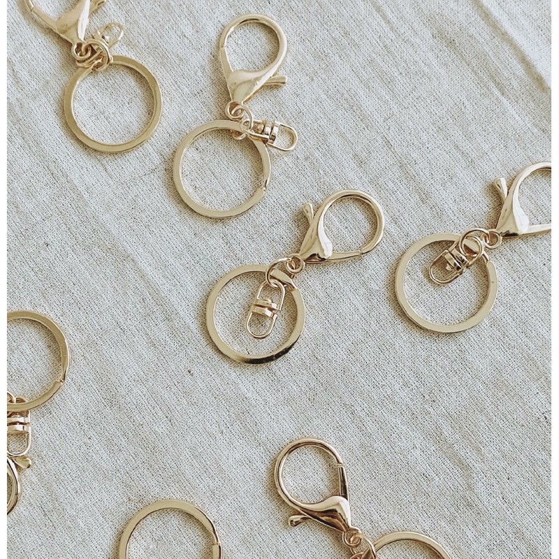 READYSTOCK 30mmx70mm Classic Lobster keychain for keychains | Shopee ...