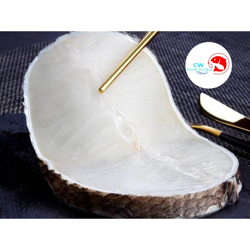 Chilean Premium Cod Fish King (顶级智利鳕鱼与尾巴) 1kg-1.2kg (1-2pcs) | Shopee ...
