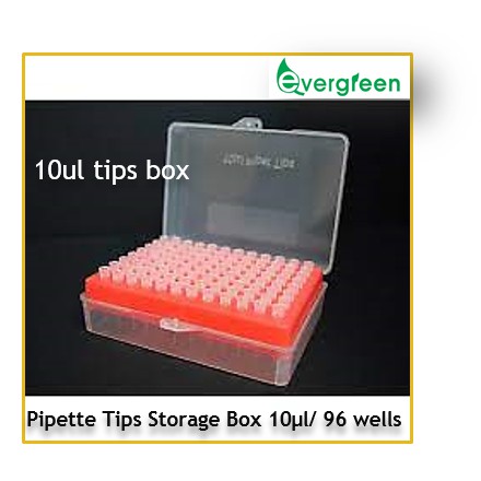 10ul Pipette Tip Box, Plastic, 96 wells | Shopee Malaysia