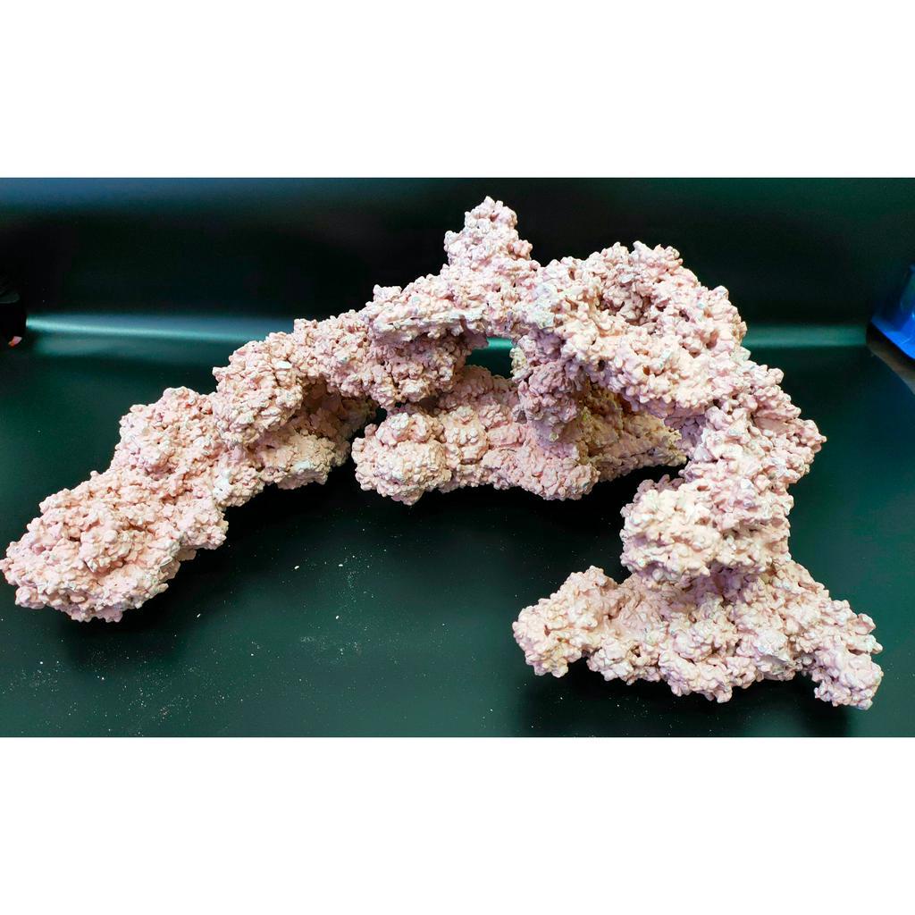 creative reef aquarium aqua scaping deco purple live life rock fully ...