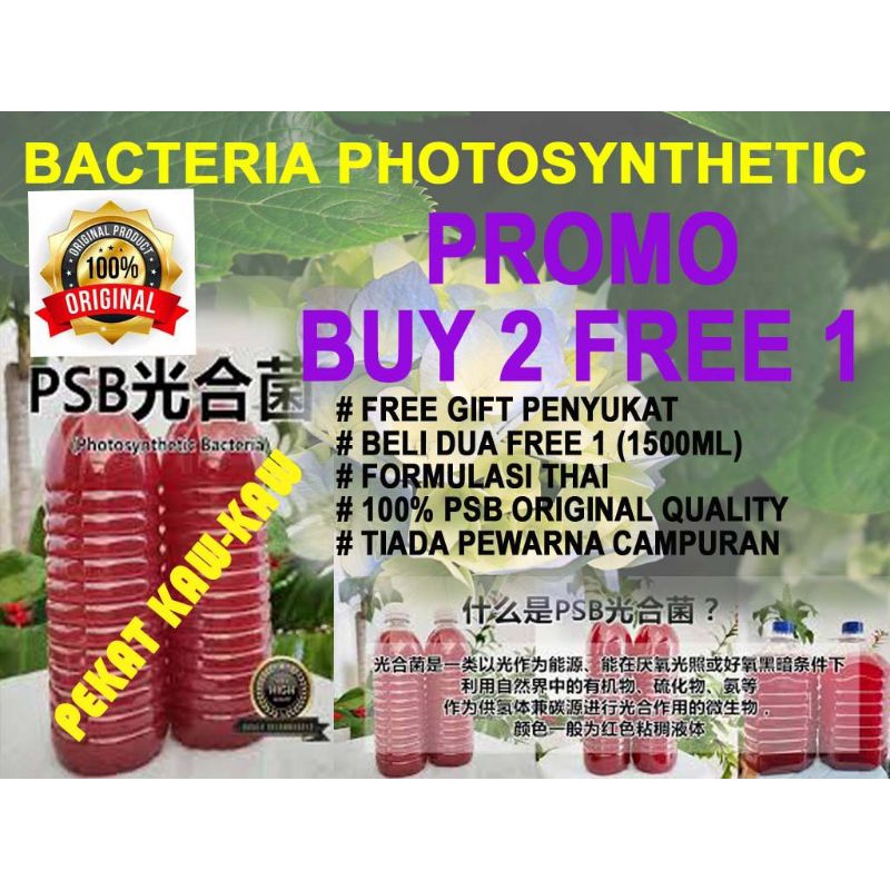 PSB PHOTOSYNTHETIC BACTERIA STARTER PENJERNIH AQUARIUM | Shopee Malaysia