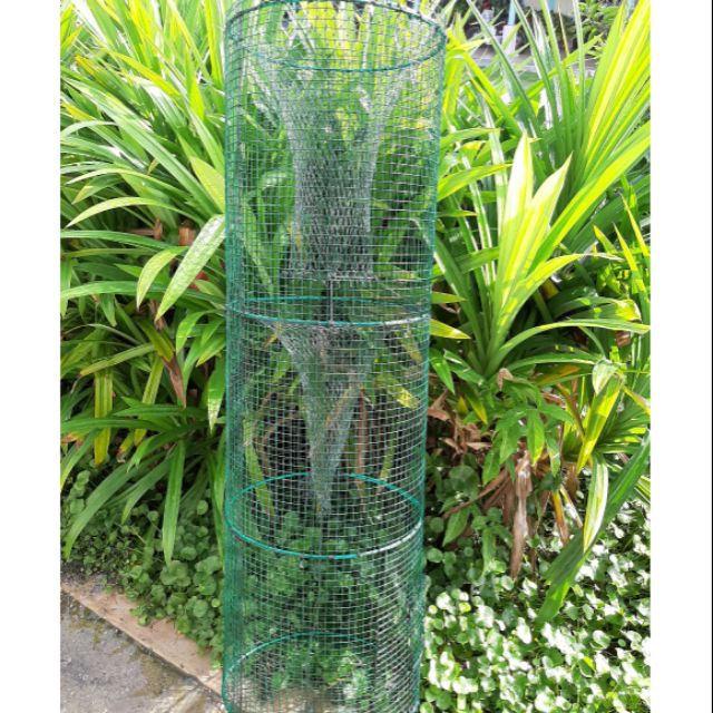 Bubu ikan @ udang. Bubu serbaguna di sungai @ laut. | Shopee Malaysia