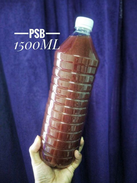 PSB 1.5L Photosysthetic Bacteria for Aquarium Plant - Membersihkan dan ...