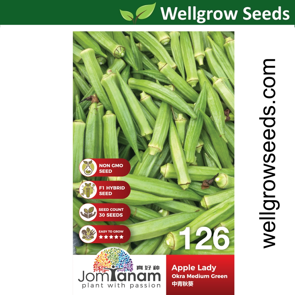 Okra Medium Green Apple Lady (30 seeds）中青秋葵 Jom Tanam by Crop Power ...
