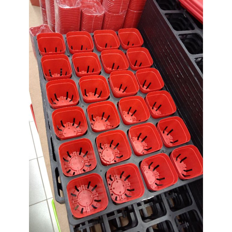 🌱tray holder (24 lubang) + 24 pasu🌱 viral | Shopee Malaysia