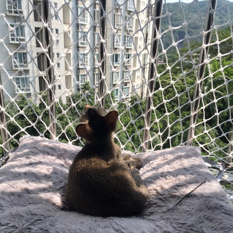 1.2M Wide 5/10cm Grid Nylon Safety Netting Stair Balcony Safety ...