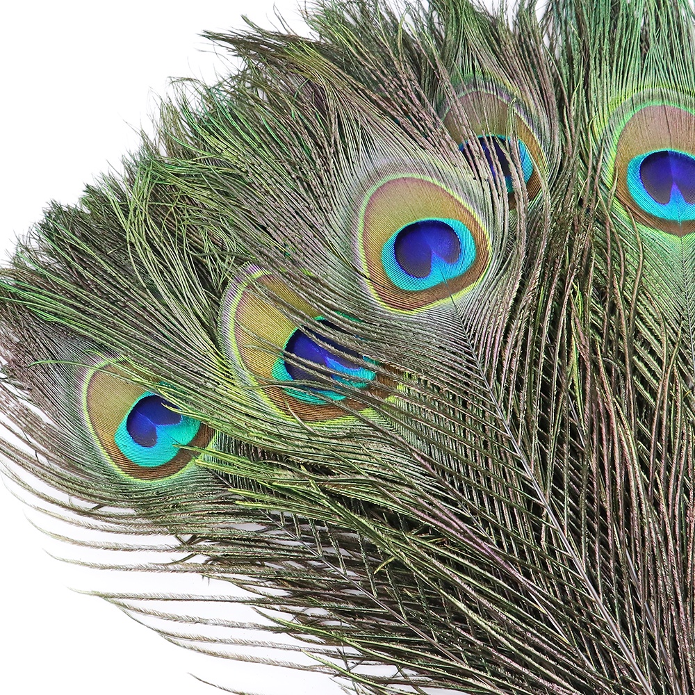 Big Eye Natural Peacock Feathers 20 PCS Pheasant Plumes For DIY Crafts ...