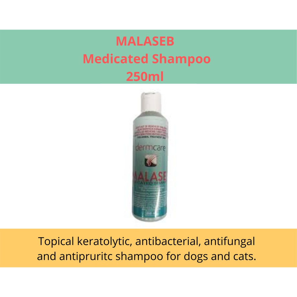 Malaseb Medicated Shampoo 250ml | Shopee Malaysia
