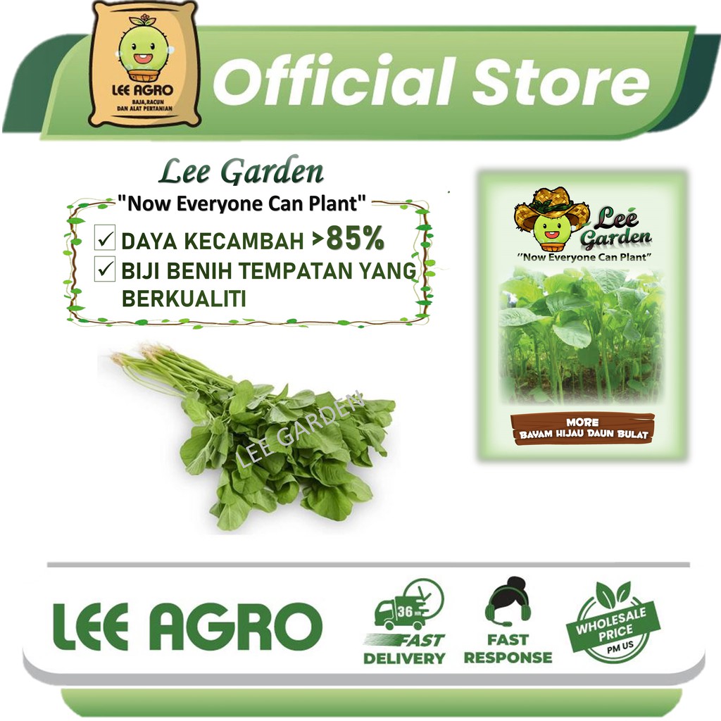 LEE GARDEN BIJI BENIH MORE BAYAM HIJAU DAUN BULAT /AMARANTH GREEN SEED ...