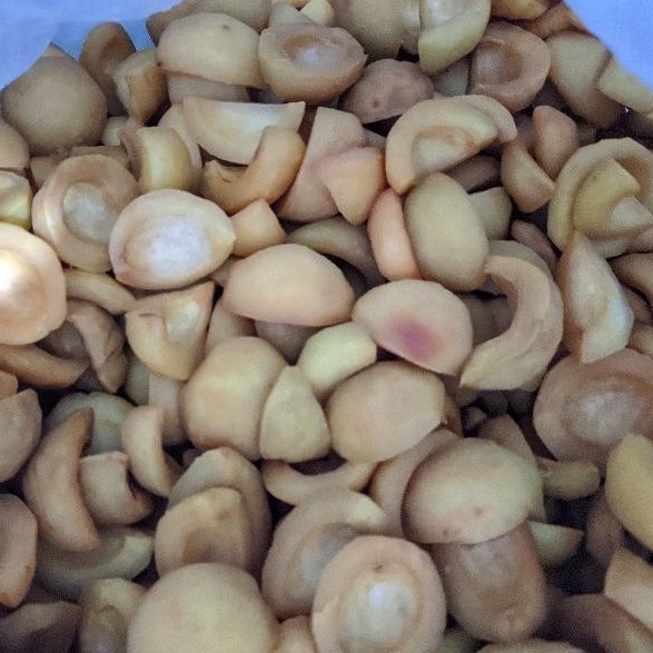 Homemade Fresh Nutmeg Sweets Without Dyes And Preservatives | Shopee ...