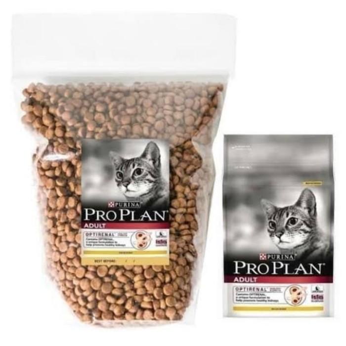 Food Proplan Cat Chicken Repack 1 Kg 1 Kg Adult Proplan Chicken 1 Kg ...