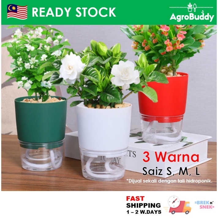 AgroBuddy 2 Layer Transparent Self Watering Pot / Pasu Penyerap Air ...