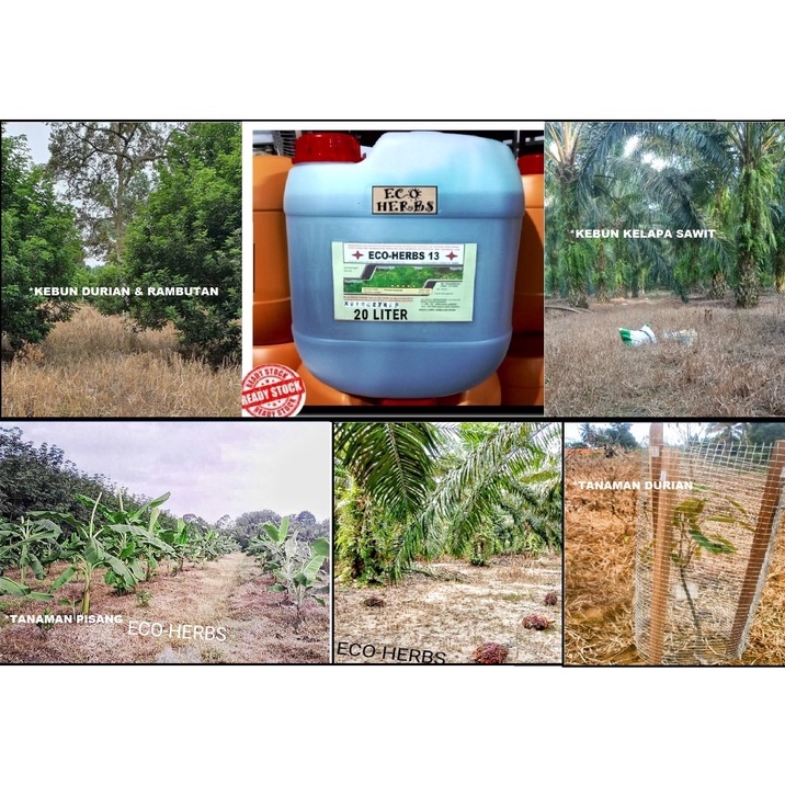 (READY STOCK) RACUN RUMPUT RUMPAI LADANG - ECO HERBS (20 LITER ...