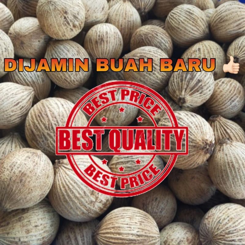 Buah Kulim Segar Dari Hutan 1Kg | Shopee Malaysia