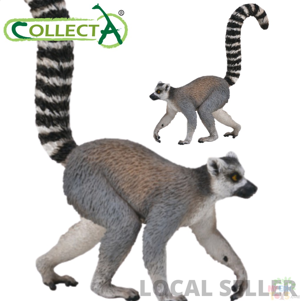 Ring-Tailed Lemur - Collecta 88831 Wild Life Animal Action Figures ...
