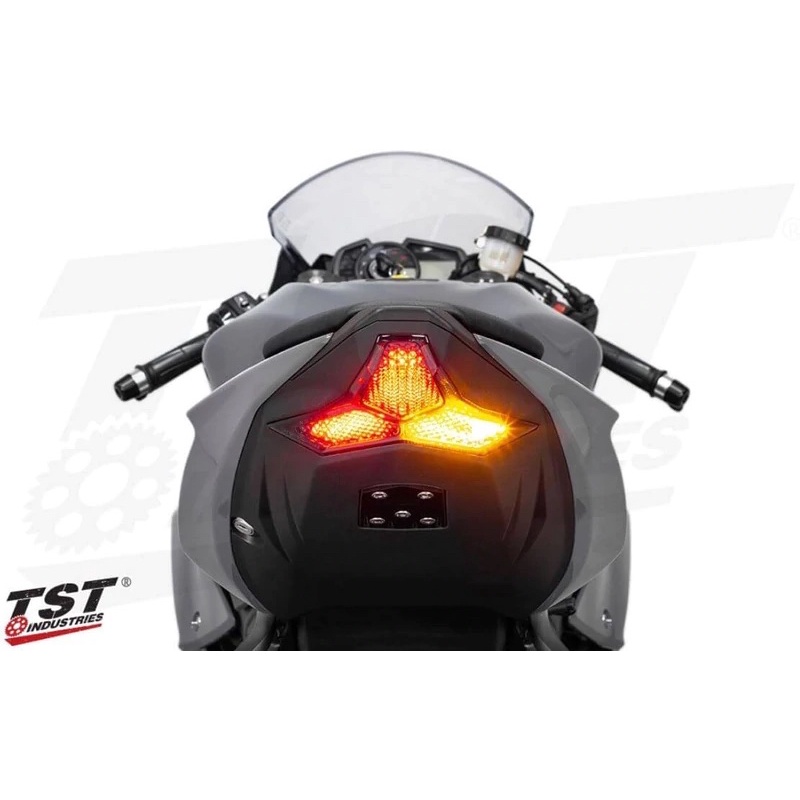 ORIGINAL TST Industries LED Integrated Tail Light 2019-2025 Kawasaki ...