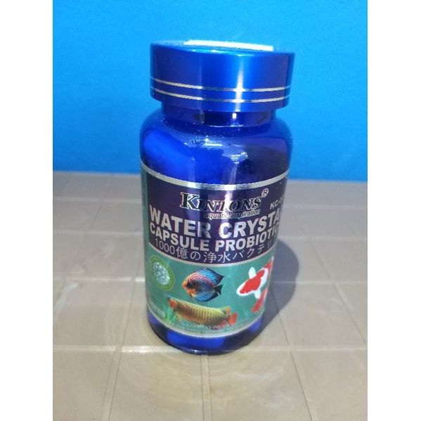 💥Ready Stock💥Kinston Water Crystal Capsule Probiotics 60pcs | Shopee ...