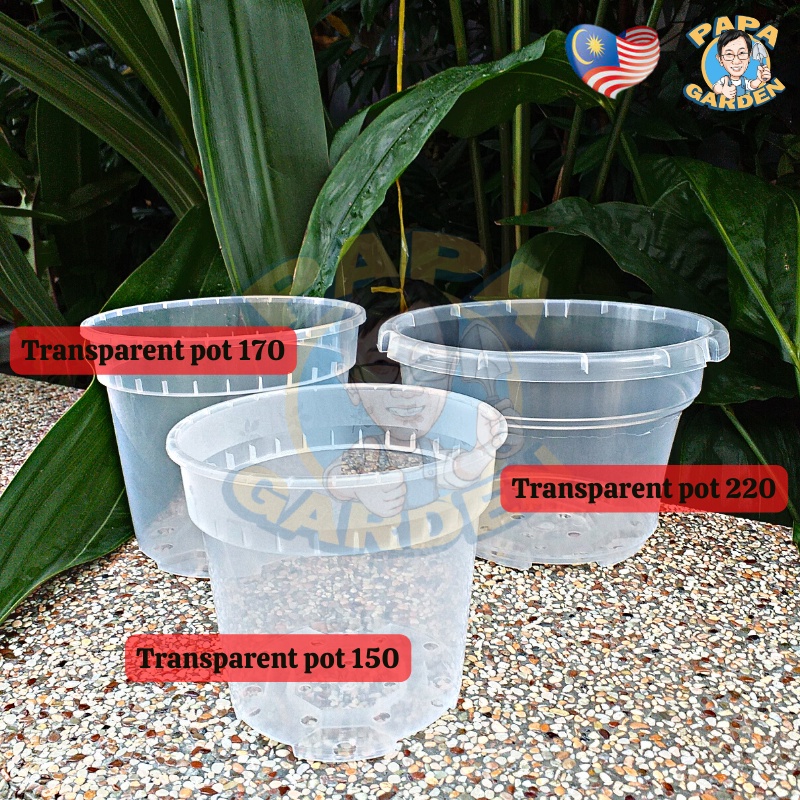 Flower Pot Transparent 150/170/220 Hydroponics Orchid Gardening Durable ...