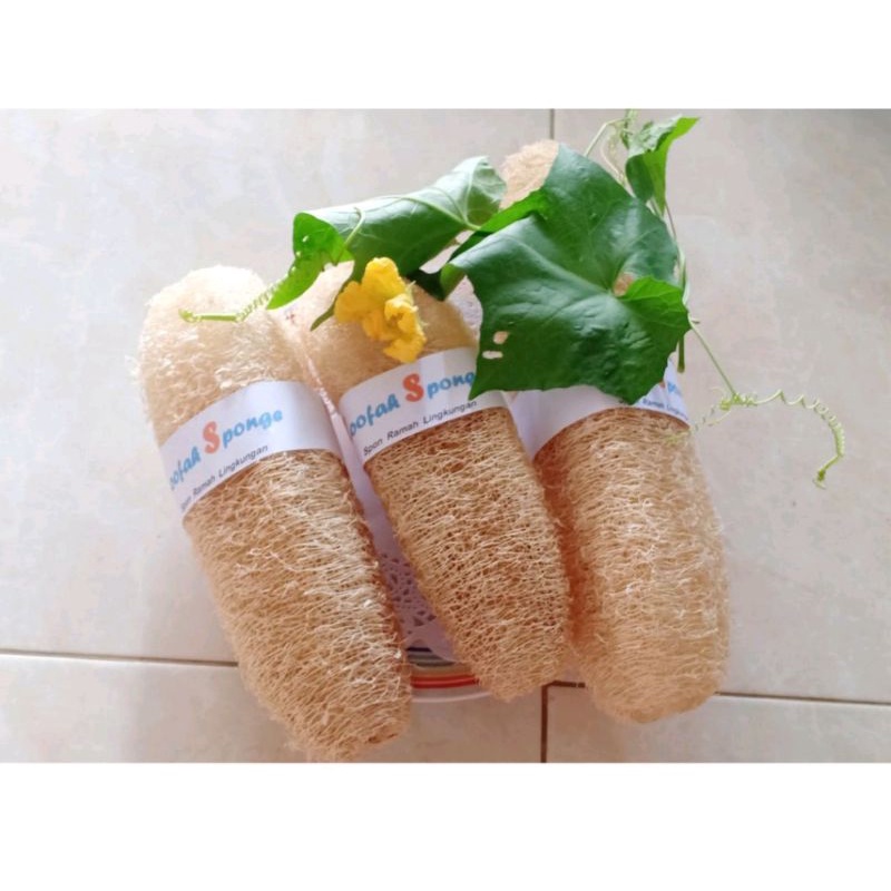 Coir/dishwashing And Bath Sponge/bestru/ blustru/ loofah | Shopee Malaysia