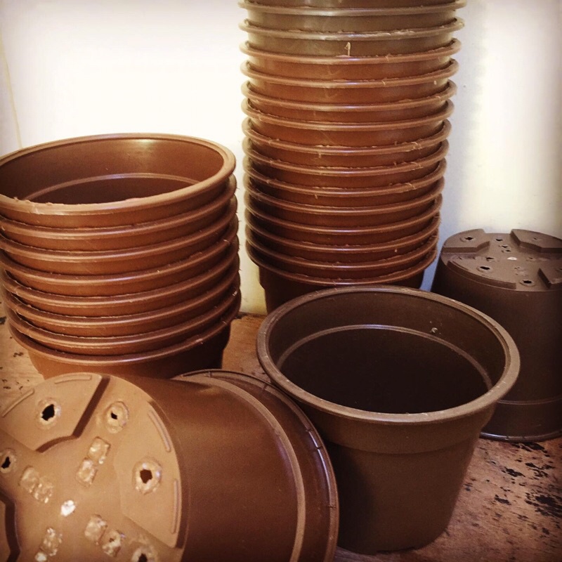 PASU RM1 • Warna “Dark Chocolate” 🍫 Saiz 15x12cm • Material Plastik ...