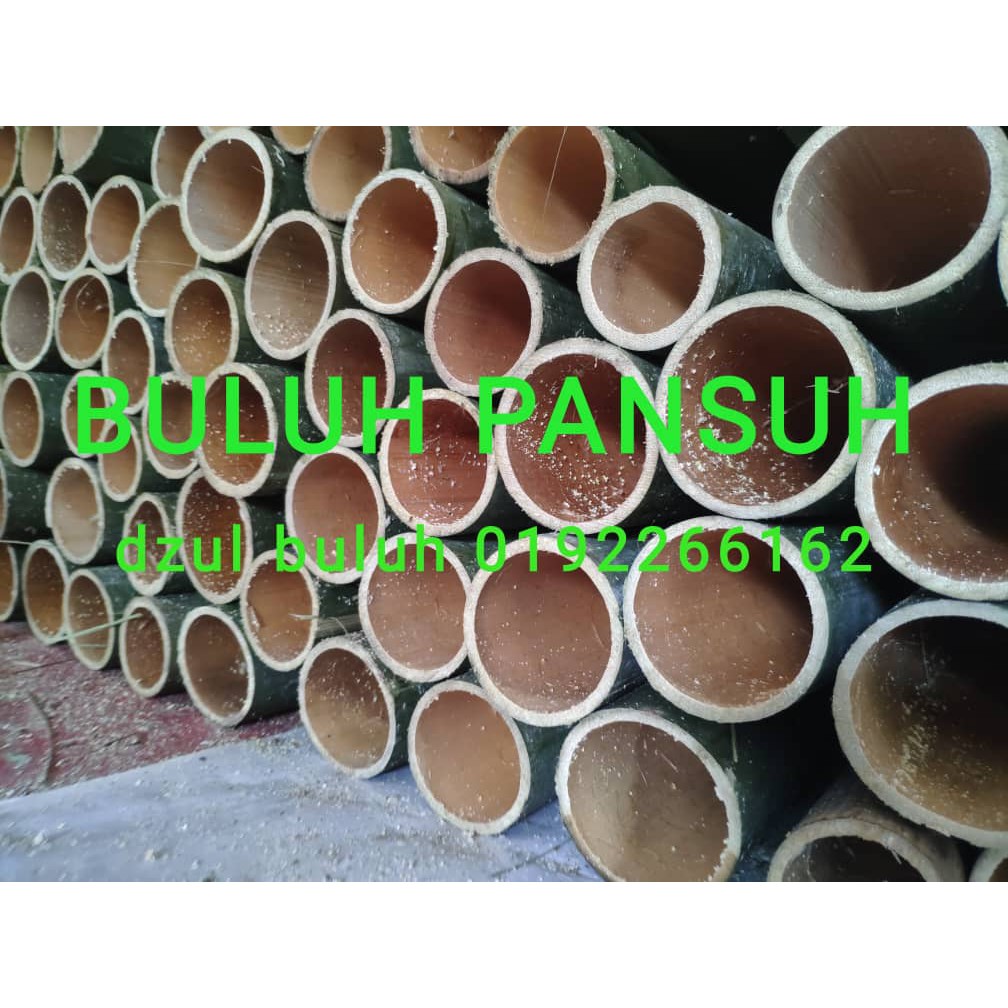 READY STOK RAYA 2024: Buluh Pansuh Fresh dari Selangor | Shopee Malaysia