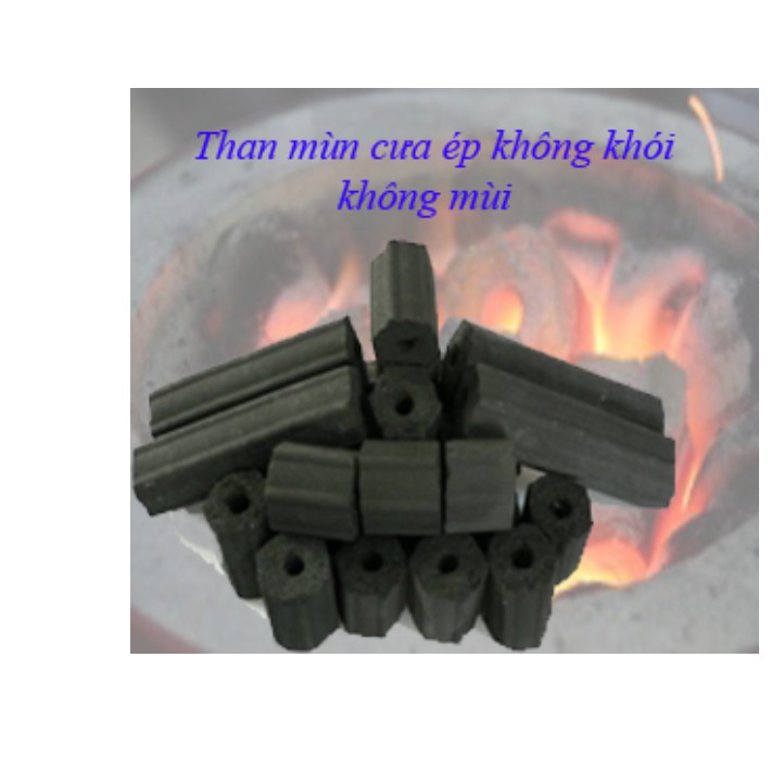 Smokeless Clean Charcoal for Restaurants and Cafes 2kg | Shopee Malaysia