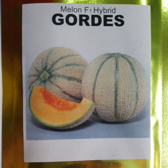10 seeds Benih Rock Melon Sakata Gordes F1 Hybrid repack rockmelon ...