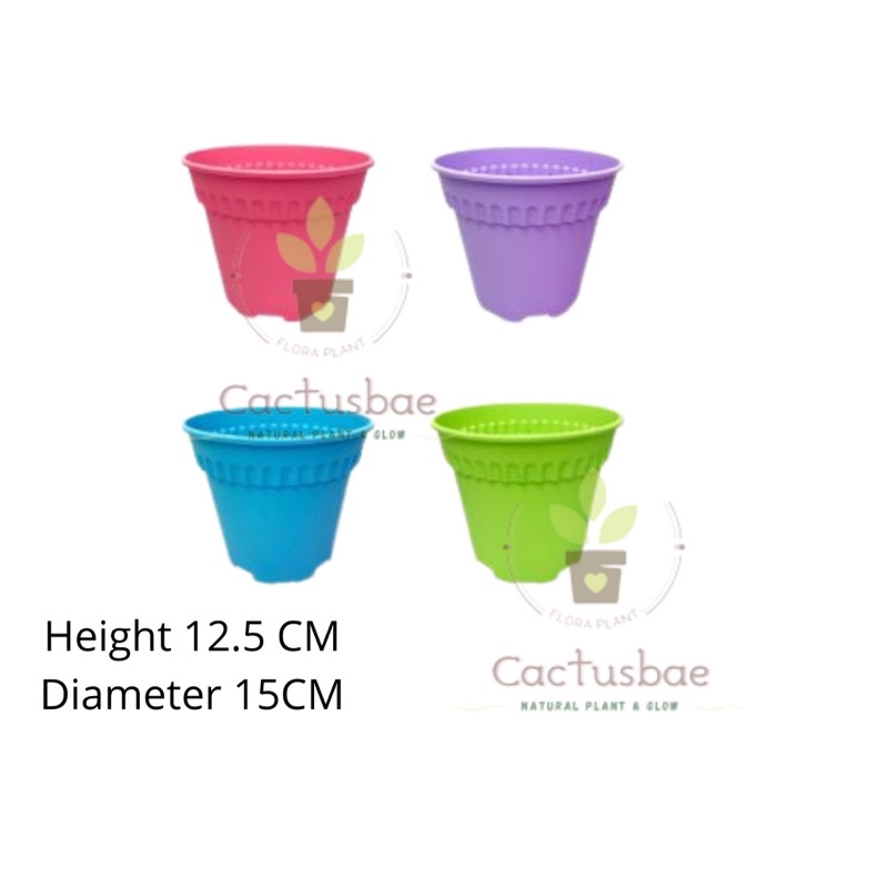 Baba Plastic Flower Pot (150) | Shopee Malaysia