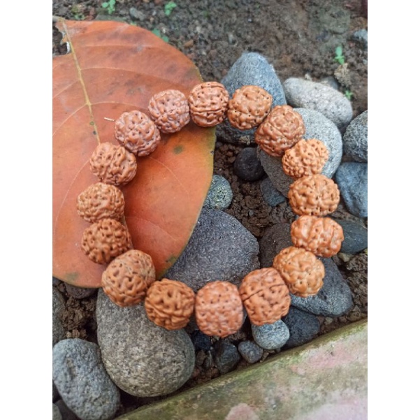 Original Jenitri genitri bracelet jumbo size | Shopee Malaysia