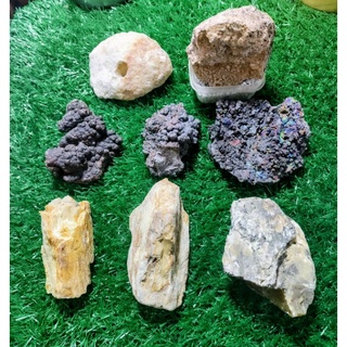 sumantra/siam wild benzoin resin 安息香 raw/powder (Styrax Benzoinom ...