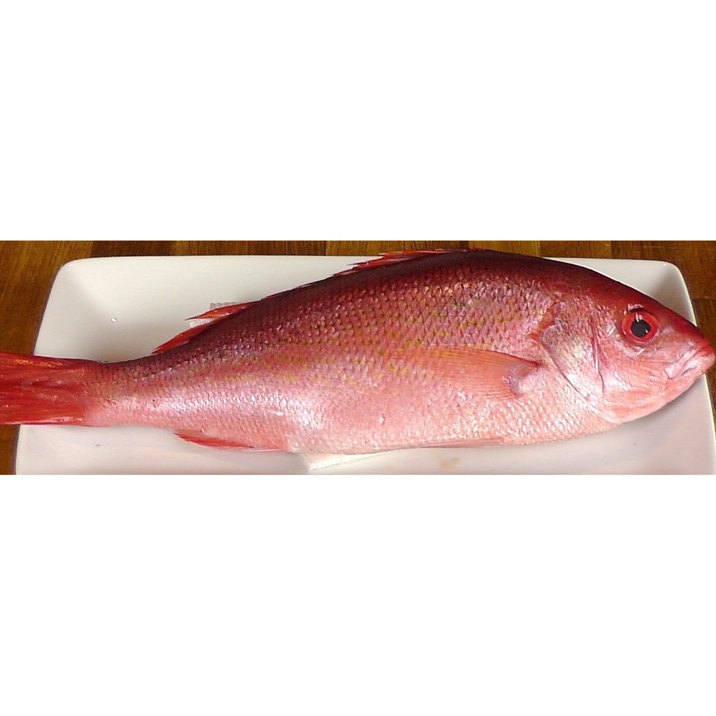 Ikan Merah Liar (Wild Red Snapper) | Shopee Malaysia