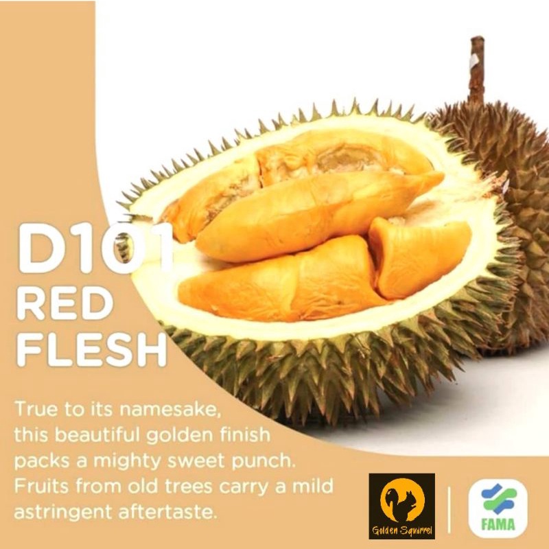 RED FLESH D101 DURIAN PULP @ ECO FARM FRESH FRUIT BUAH DURIAN FLESH 榴莲 ...