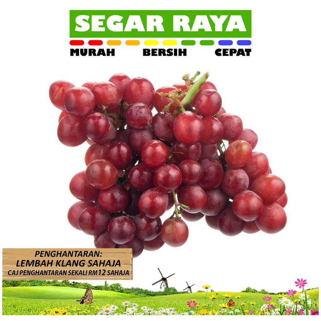 BUAH South Africa Anggur Merah/Red Grape Seedless (500g) Segar Raya ...