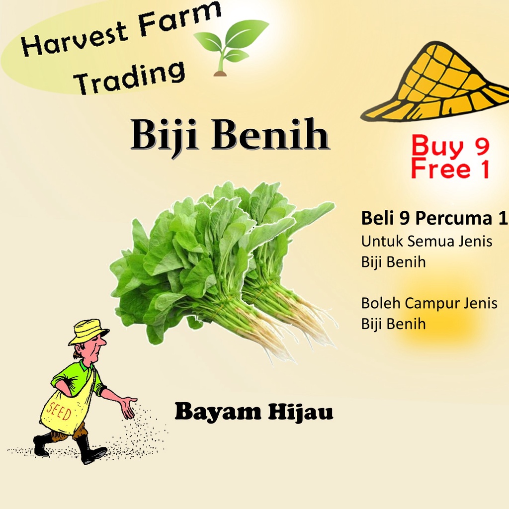 Biji Benih Bayam Hijau Bulat 3000Biji Vegetable Seed Green 沙拉菜种子 Family ...
