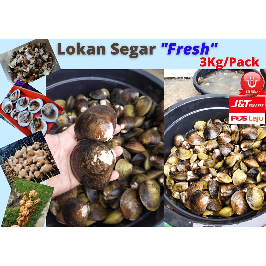 Lokan Segar Fresh 2.9KG | Shopee Malaysia