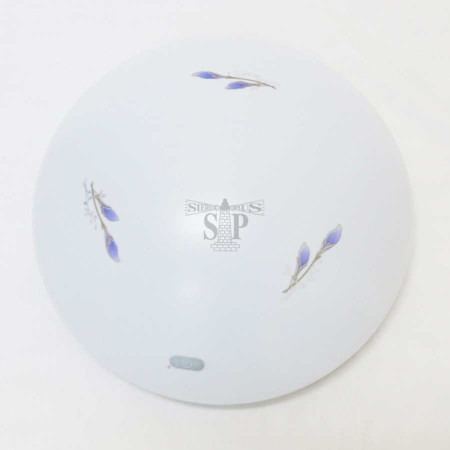 [Warehouse Clearance] Native Reap 13-inch 05 12W Flush Mount LED ...