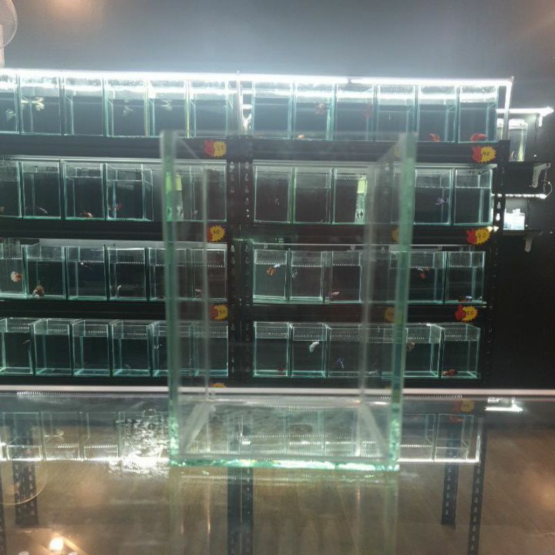 Betta Tank Glass Aquarium | Shopee Malaysia