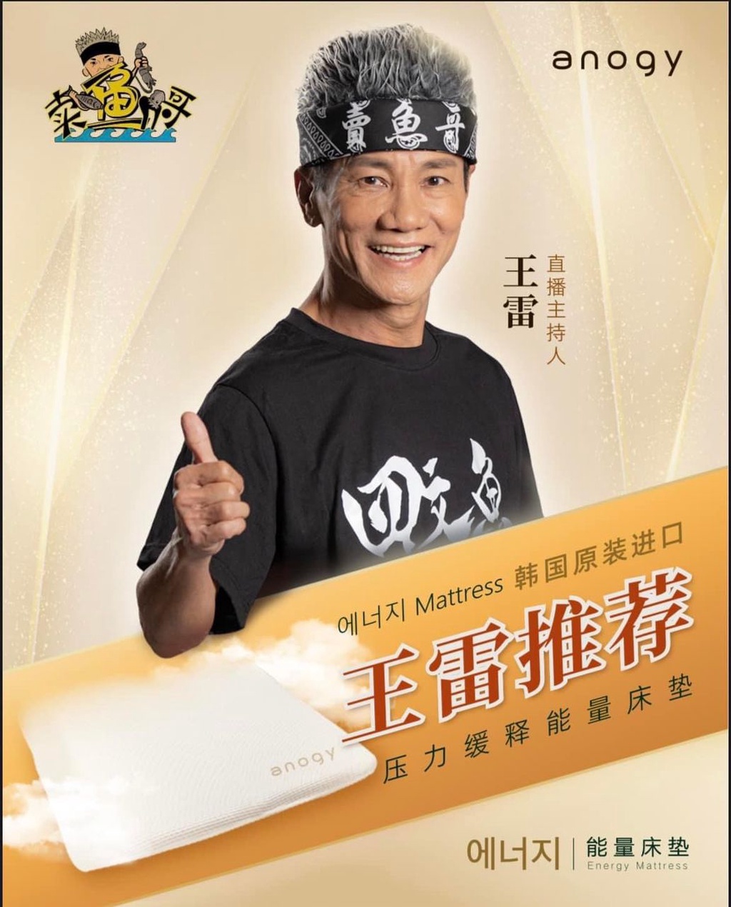 【Anogy】 韩国能量床垫 Anogy Korea Energy Mattress 韩国能量枕套 韩国能量枕头套改善睡眠碱化体内酸性纾解压力 ...