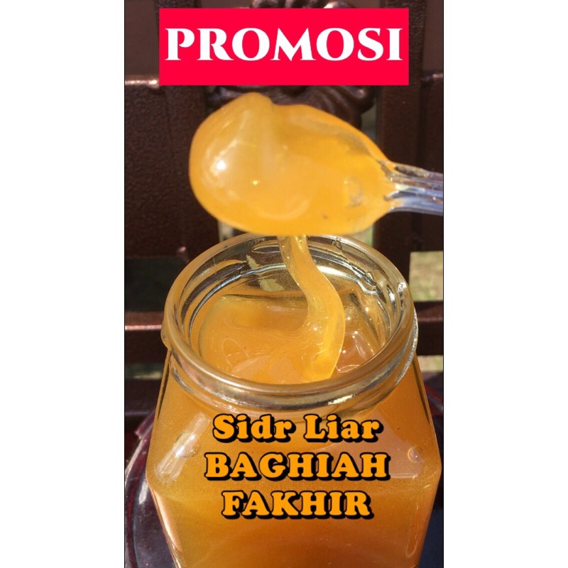 💥SALE💥 Madu Sidr Baghiah Fakhir lebah liar Pergunungan Usoimi, Yaman ...