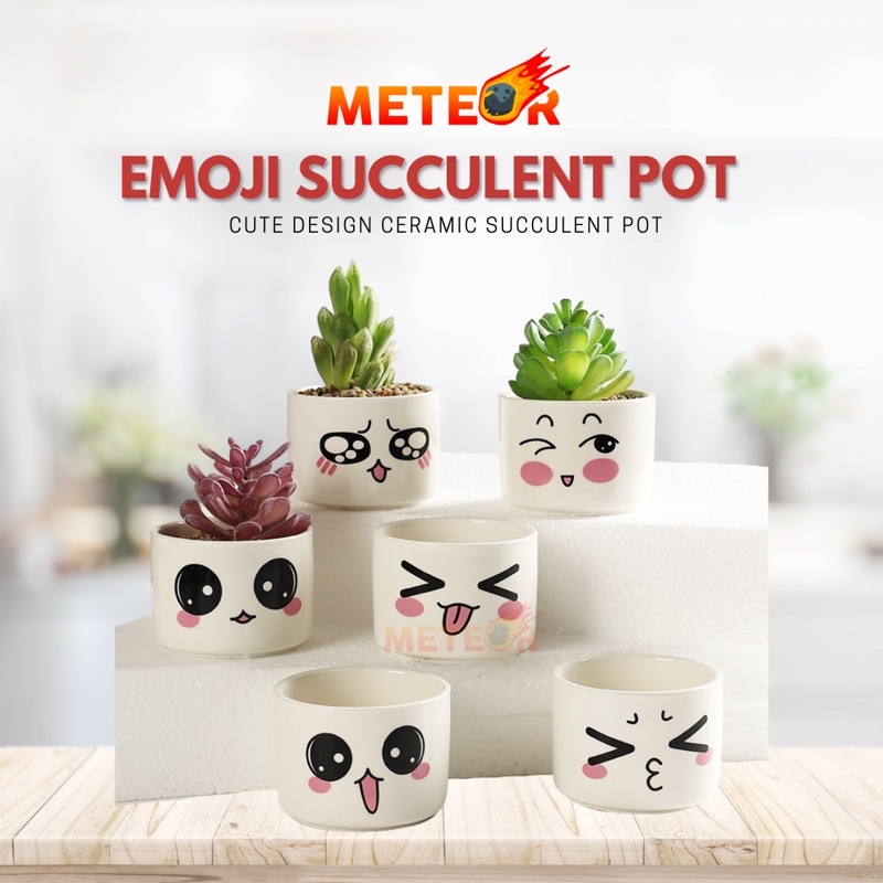 Emoji Smiley Face Ceramic Succulent Pot Cute Cartoon Pasu | Shopee Malaysia