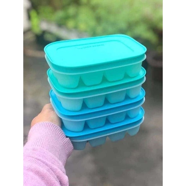 Tupperware Chill Freeze Ice Tray Set (1pc) 160 mL | Shopee Malaysia