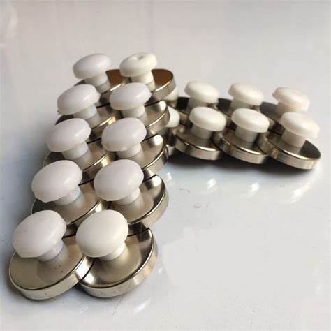 Magnetic board magnet, magnetic board paperweight magnet D32mm | Shopee ...