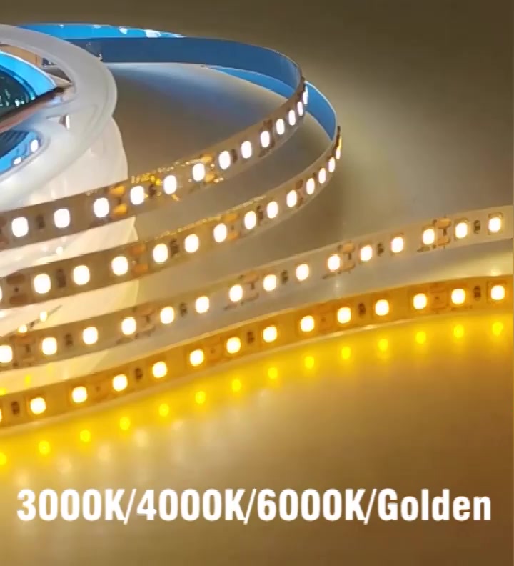 🔥IN Stock🔥Multicolor Led Strip Light 5M 10M 2835 120led/m DC12V 24V red ...