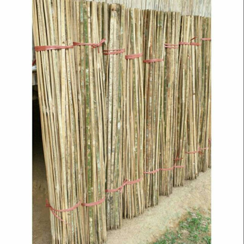 (30btg)KERATAN BULUH PANCANG/BULUH PENYOKONG POKOK | Shopee Malaysia